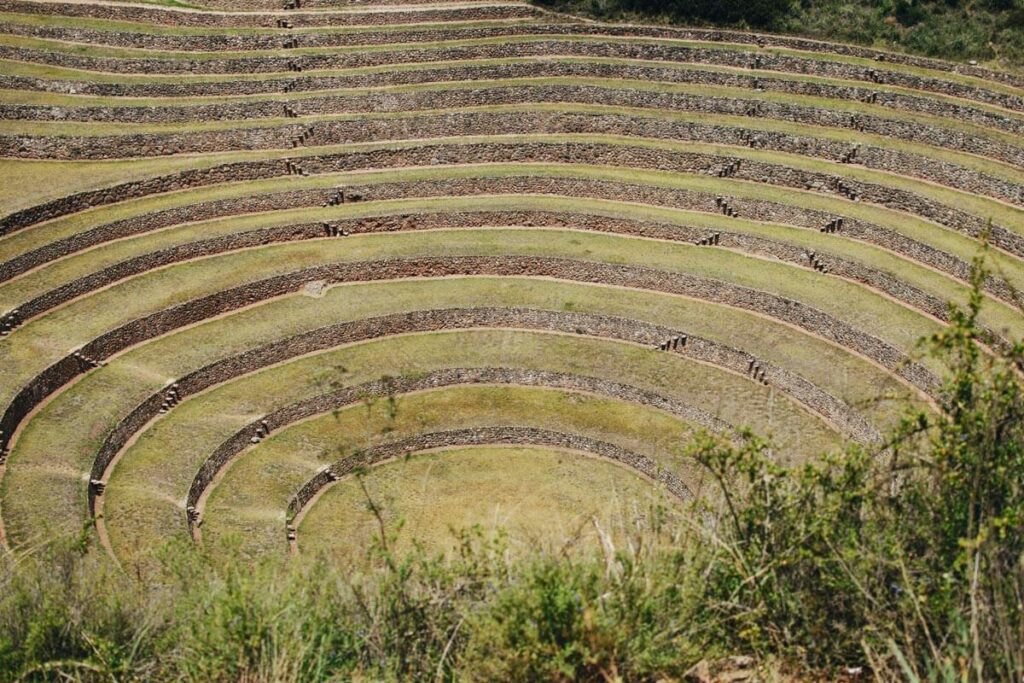 A Guide to Peruvian Potato Varieties and Their Origins in the Andes - K ...