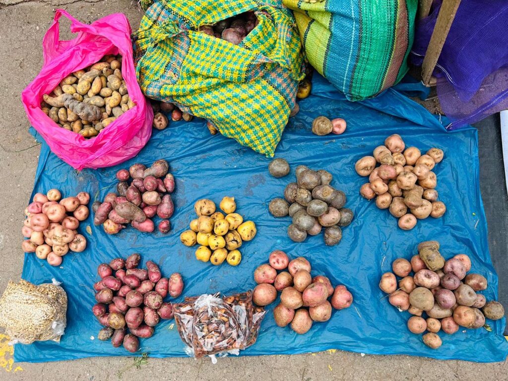 A Guide to Peruvian Potato Varieties and Their Origins in the Andes - K ...