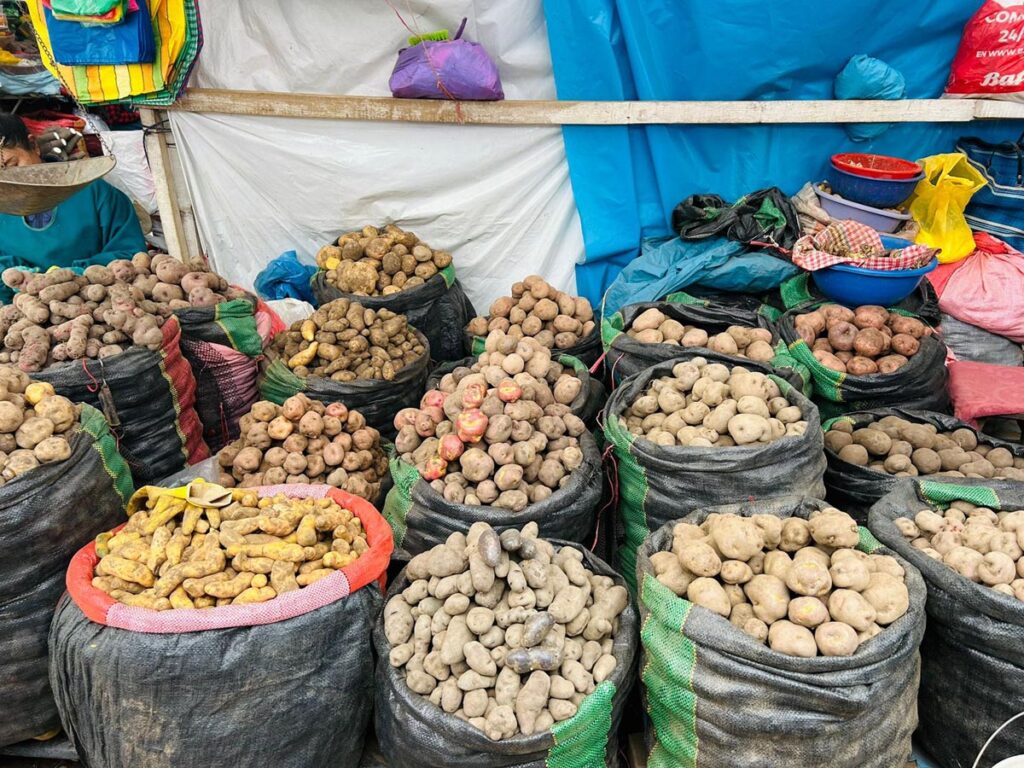 A Guide to Peruvian Potato Varieties and Their Origins in the Andes - K ...